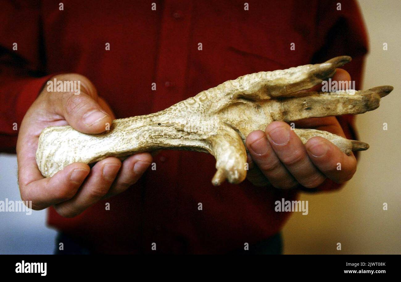 PA PHOTOS/AAP - UK USE ONLY: Dr. Les Christidis, Head of Sciences at ...