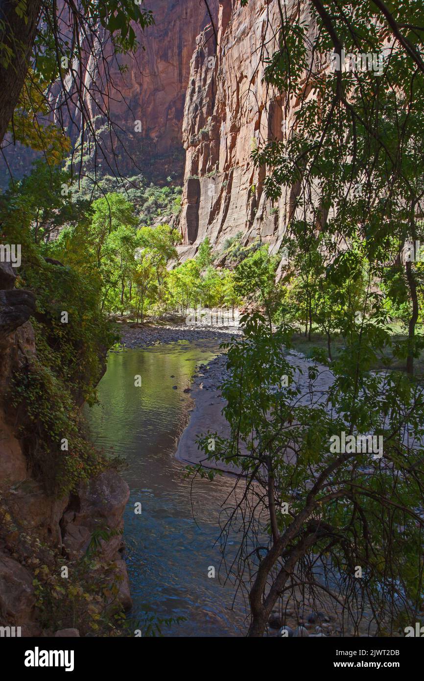 River walk zion national park hi-res stock photography and images - Alamy