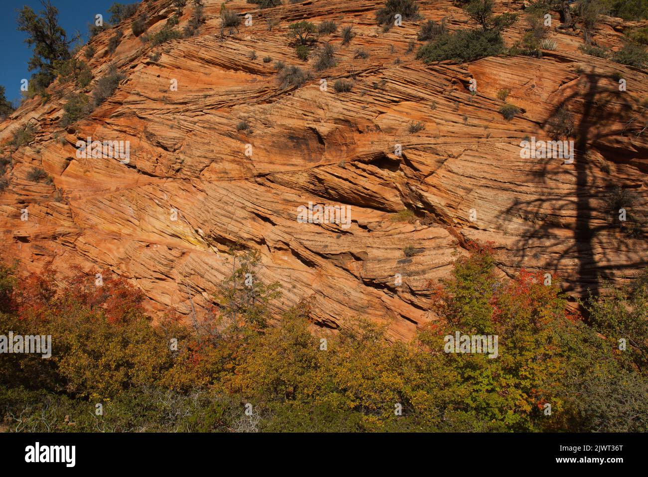 Sandstone rock formations along Zion Boulevard in Zion National Park ...