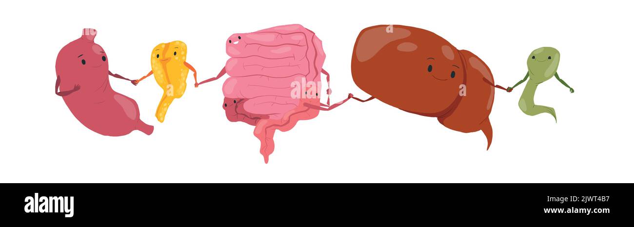 Cute cartoon vector human five organs set on white background Stock ...