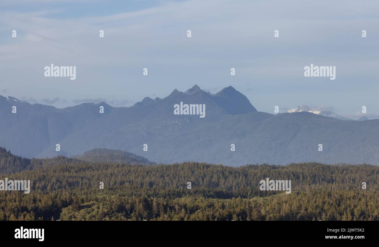 Green Trees and Mountain Landscape on the Pacific Ocean West Coast ...