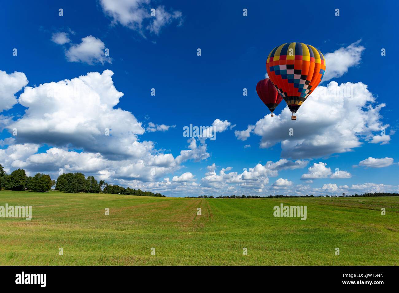 Colorful hot air balloons over green rice field Stock Photo - Alamy