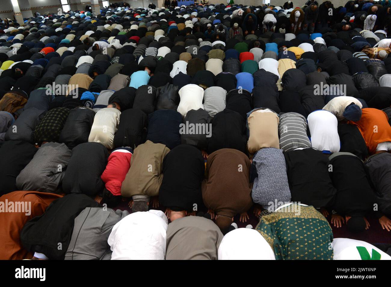 Members of Sydney's Muslim community celebrate Eid with morning prayers ...