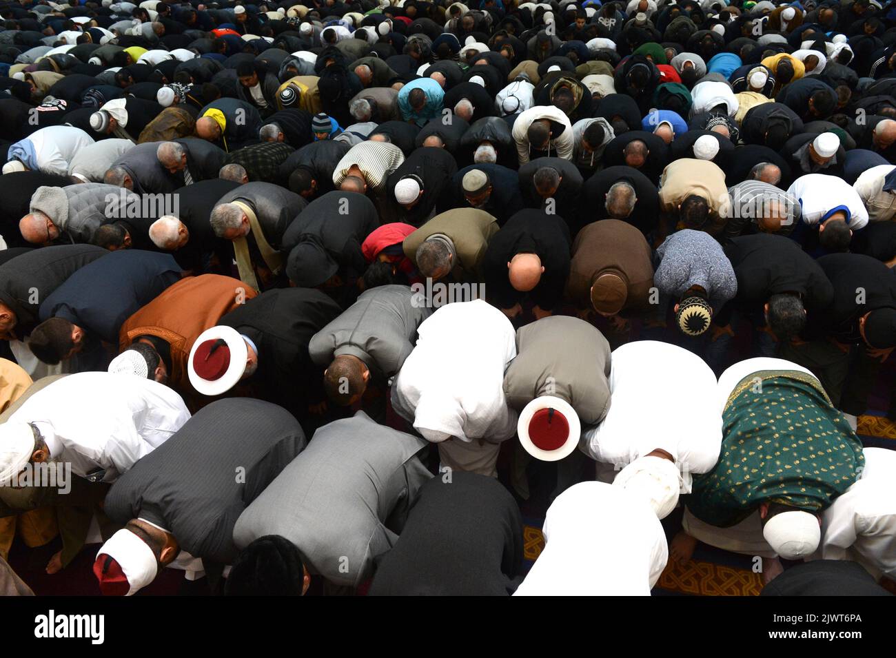 Members of Sydney's Muslim community celebrate Eid with morning prayers ...