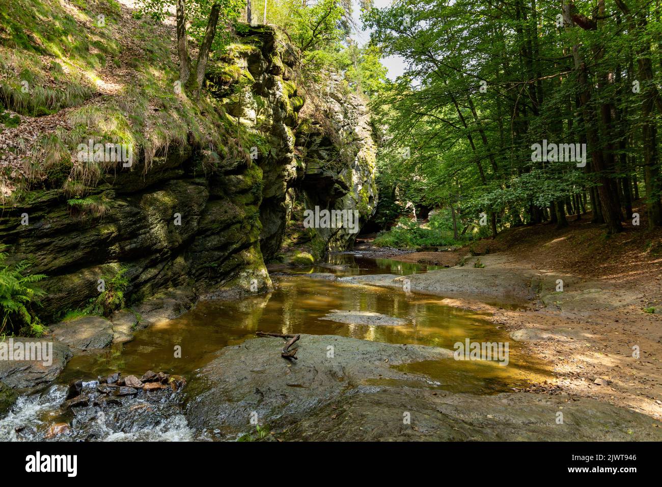 Bechyne forest hi-res stock photography and images - Alamy