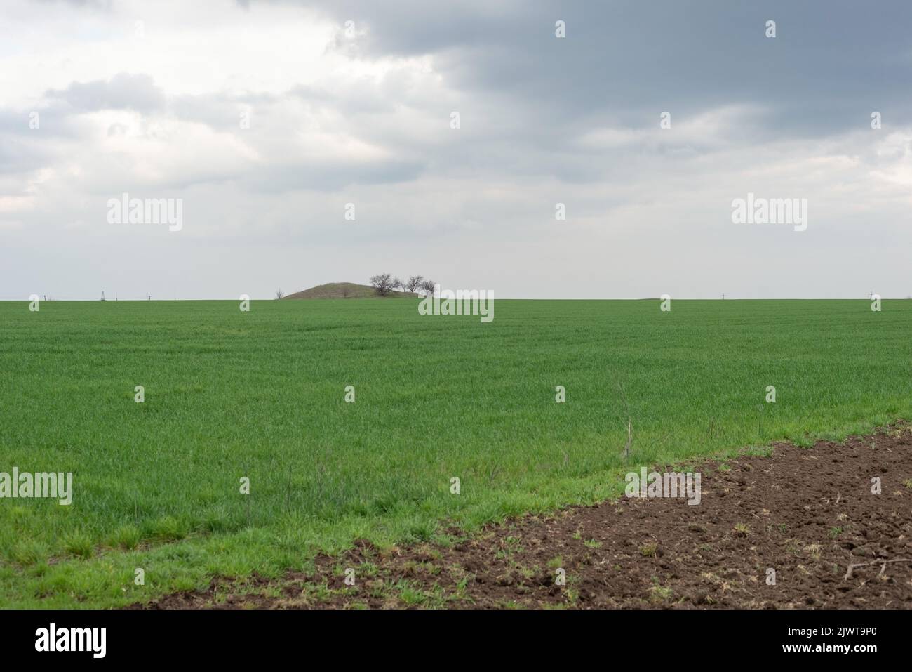 Ukrainian climate hi-res stock photography and images - Alamy