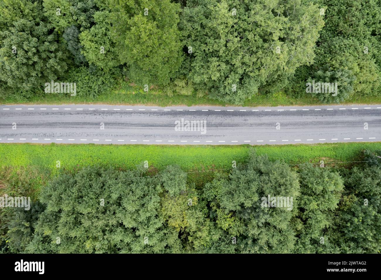 A forest road seen from above Stock Photo - Alamy
