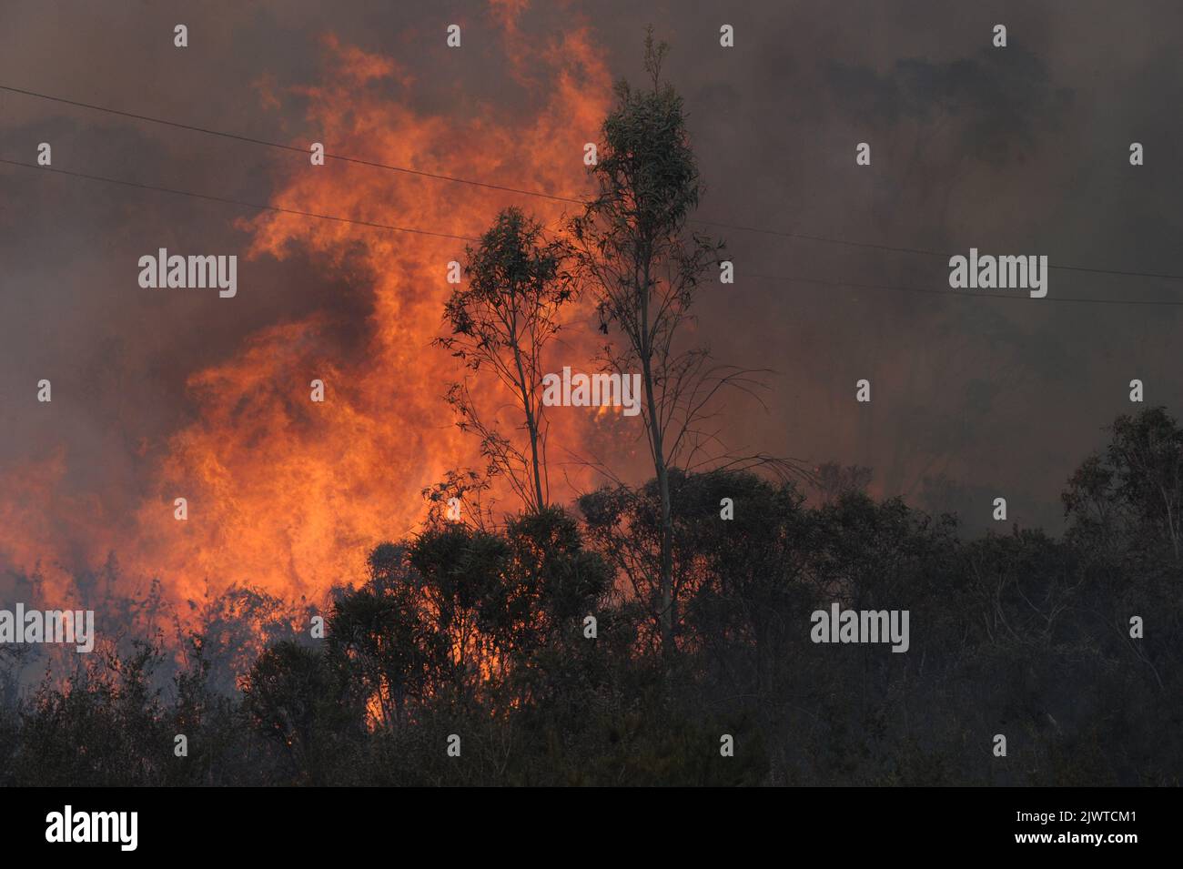 A bushfire jumps the Bells Line Road north of Lithgow, Thursday, Oct ...
