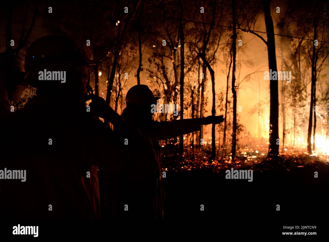 NSW RFS firefighters battle a bushfire burning close to homes on ...