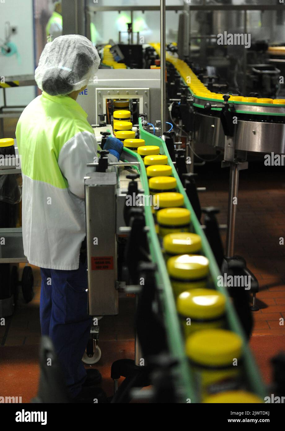Vegemite rolls along production line at the Vegemite factory in ...