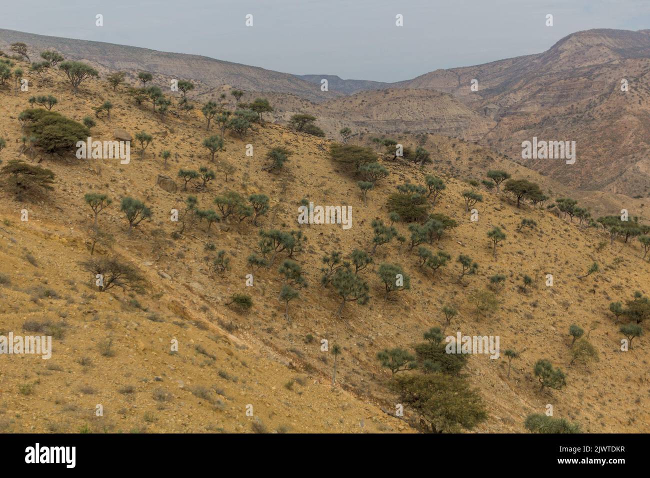 Hilly landscpae of Afar region, Ethiopia Stock Photo - Alamy