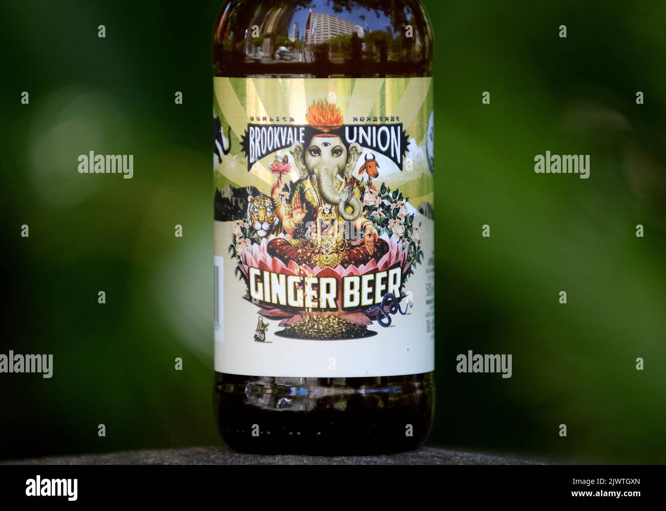 A Brookvale Union craft brewery bottle of alcoholic ginger beer with ...