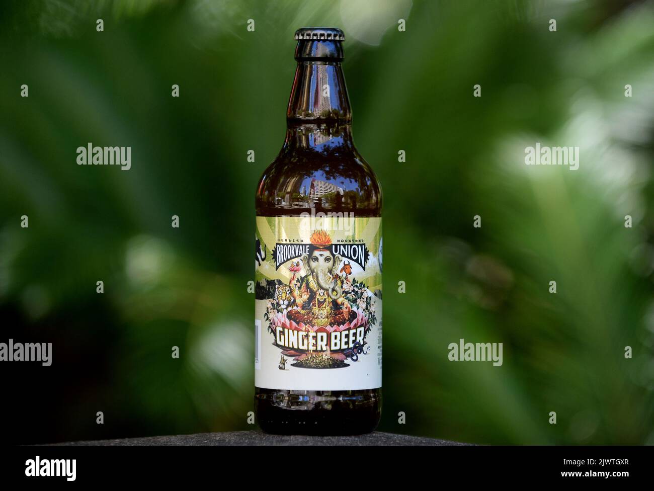 A Brookvale Union craft brewery bottle of alcoholic ginger beer with ...