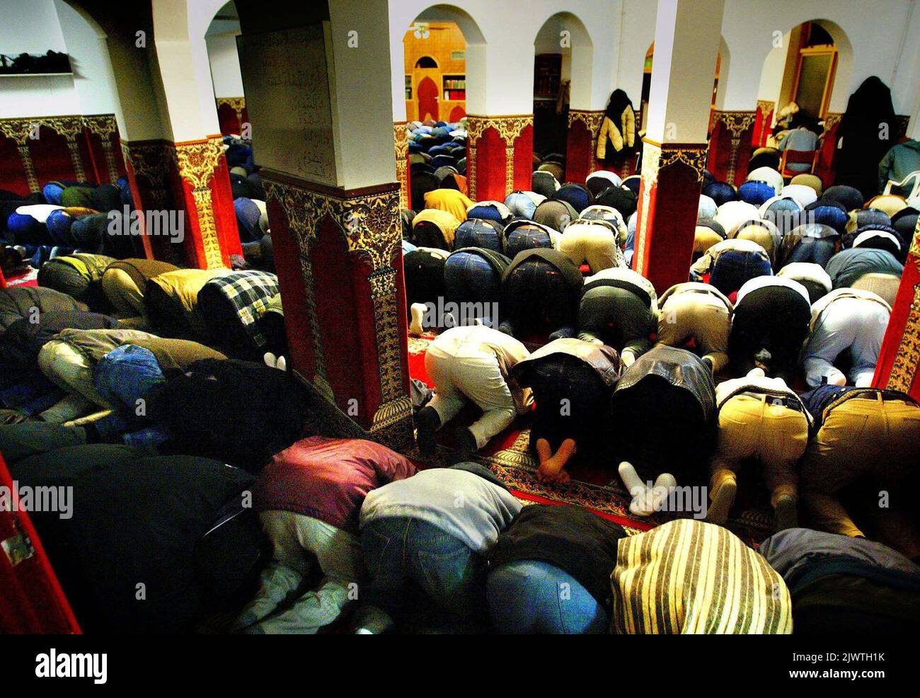 Muslim people genuflect in a mosque in Rotterdam. Monday 27 October ...