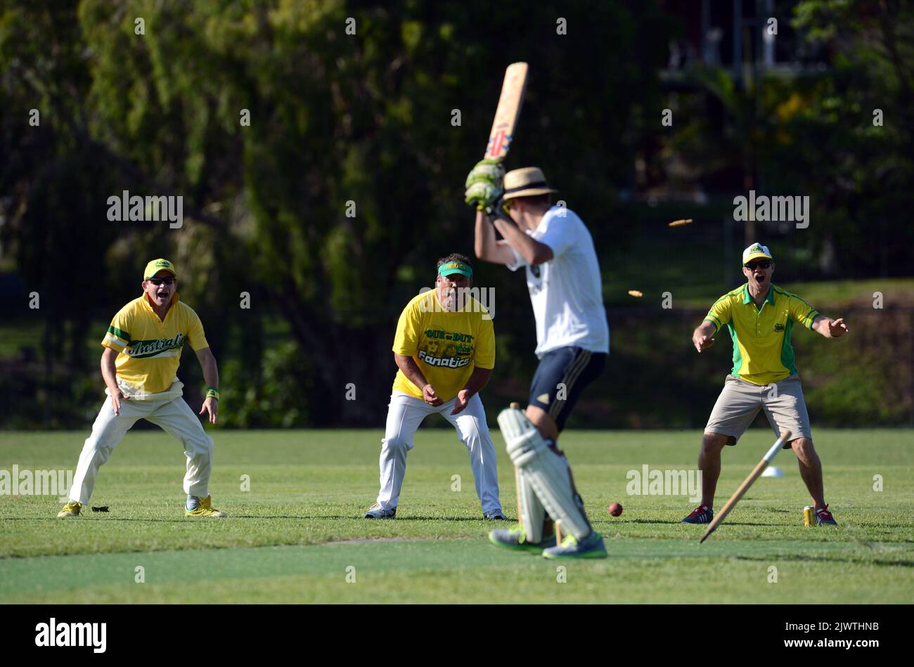 The Australian Fanatics cheers after an England Barmy Army batsman is ...