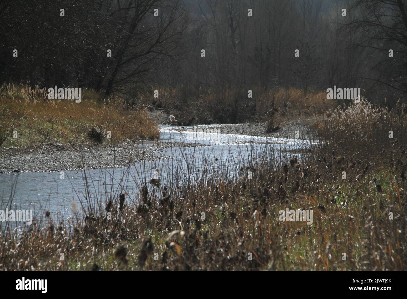 Sillaro river passing near Castel San Pietro Terme in Italy Stock Photo ...