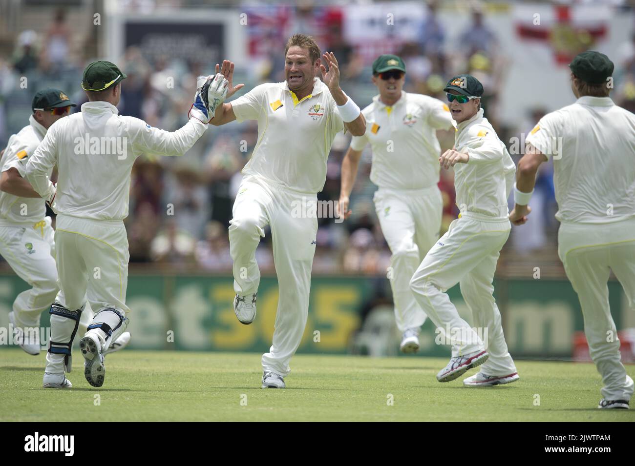 Australian bowler Ryan Harris (centre) reacts after dismissing England ...