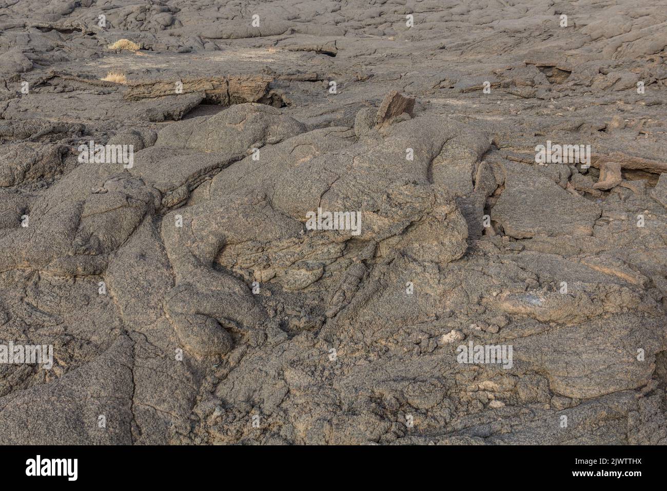Lava field at Erta Ale volcano in Afar depression, Ethiopia Stock Photo ...