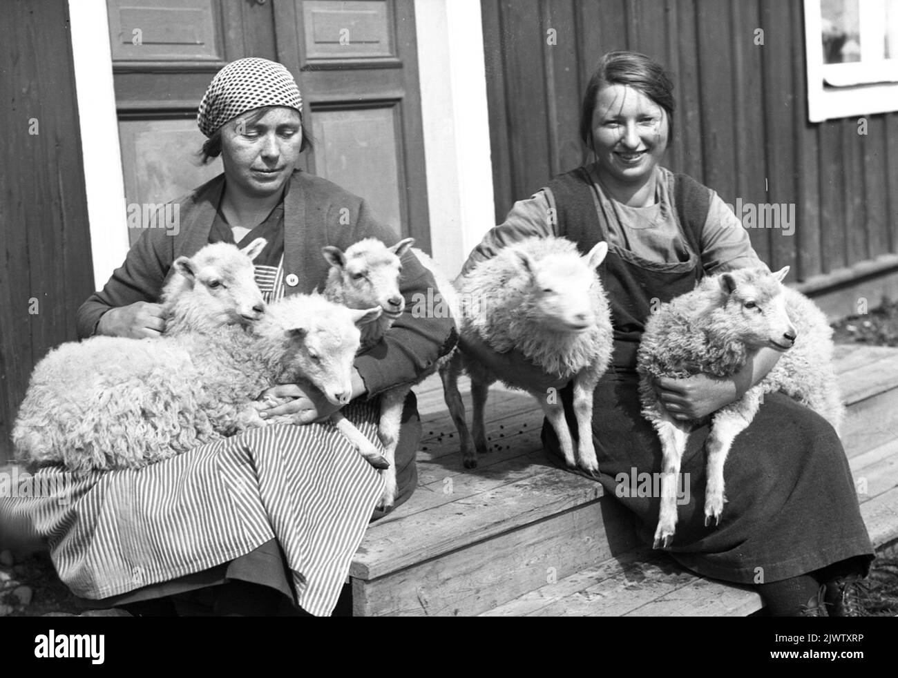 To the left Jullan Lundgren Till vänster Jullan Lundgren Stock Photo ...