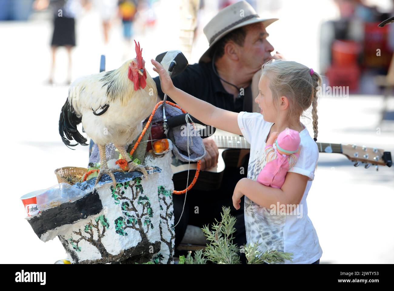 A young girl pats the pet chicken of a busker known as "Frank the Chook ...