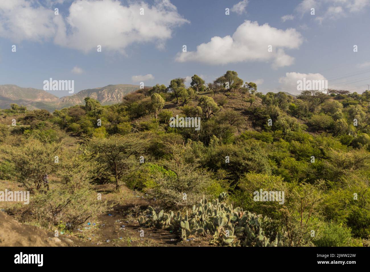 Hilly landscape near Mekele, Ethiopia Stock Photo - Alamy