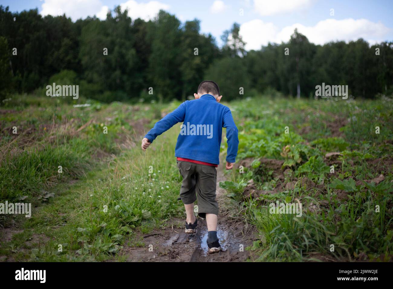 Child walks by nature. Schoolboy walks alone in summer. Boy in blue ...