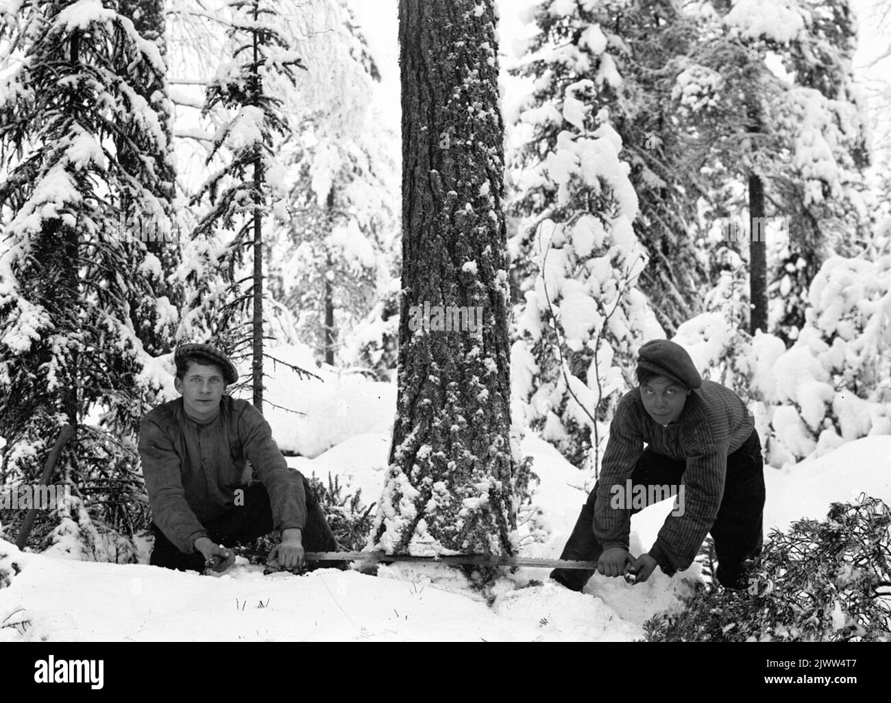 Log i Black and White Stock Photos & Images - Alamy