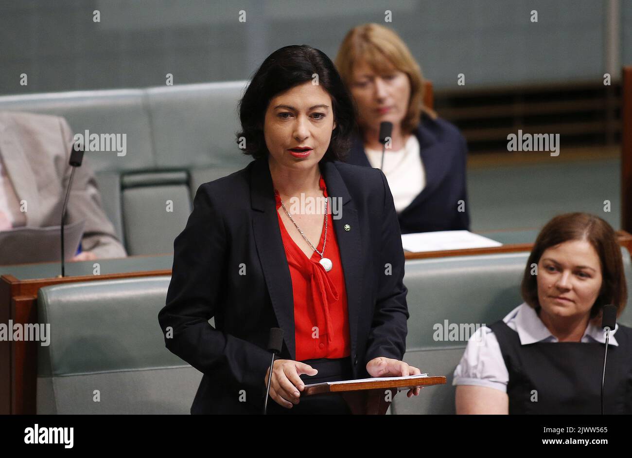 New Labor MP Terri Butler gives her maiden speech to the House of ...
