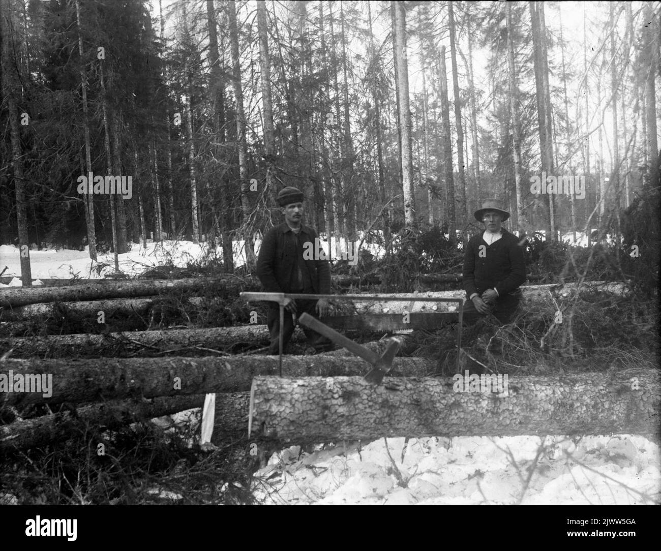 Forest workers. Skogsarbetare Stock Photo - Alamy