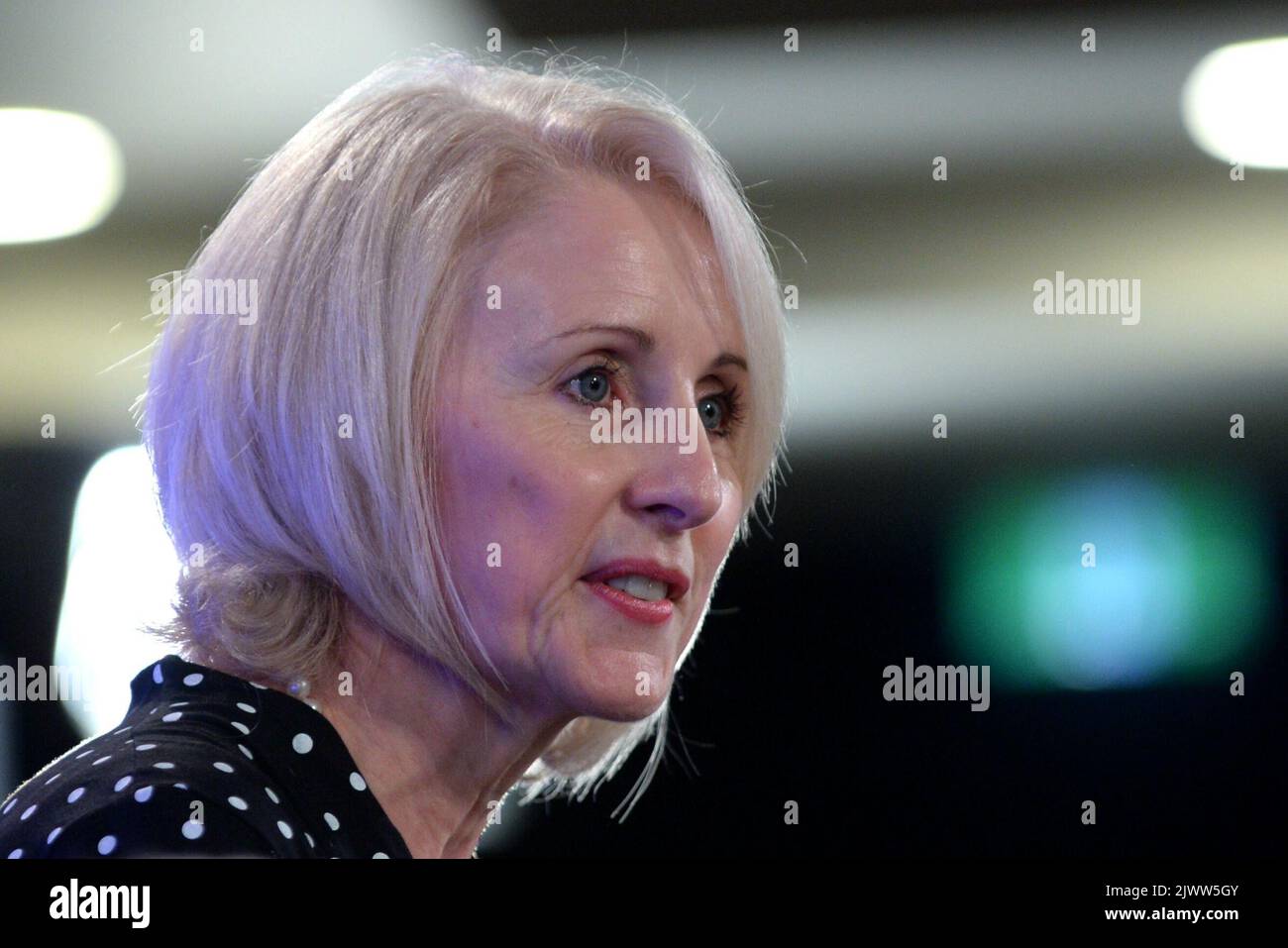 Universities of Australia chair Professor Sandra Harding speaking at ...