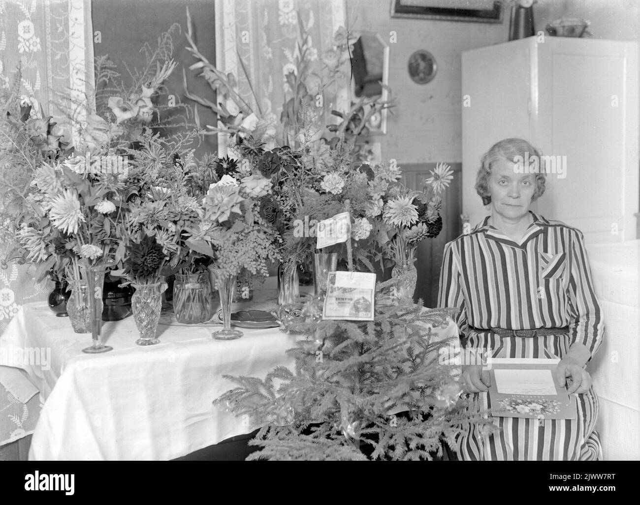 Miss Finnqvist, Kastet, 50 years. Photo in August 1945. Fröken ...