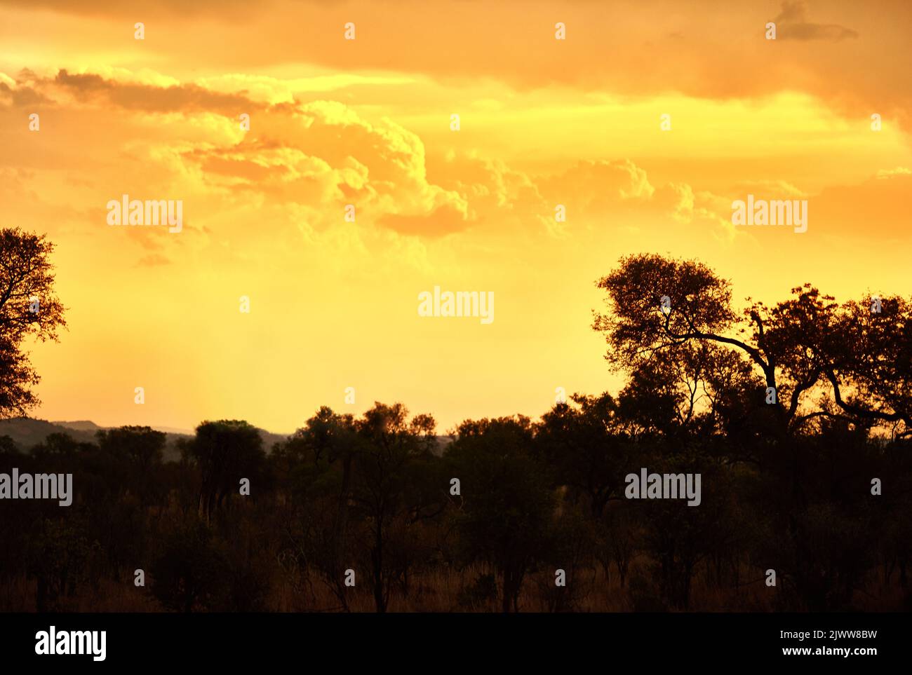 African sunset wallpaper hi-res stock photography and images - Alamy