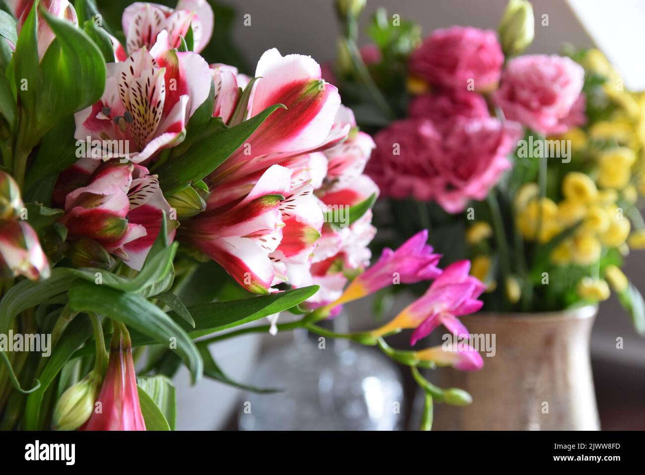 Variety of colorful flowers in a vace Stock Photo - Alamy