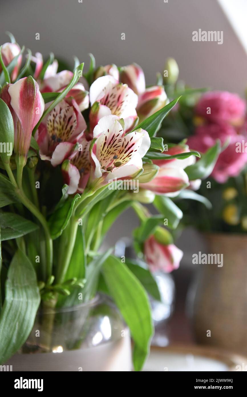 Variety of colorful flowers in a vace Stock Photo - Alamy