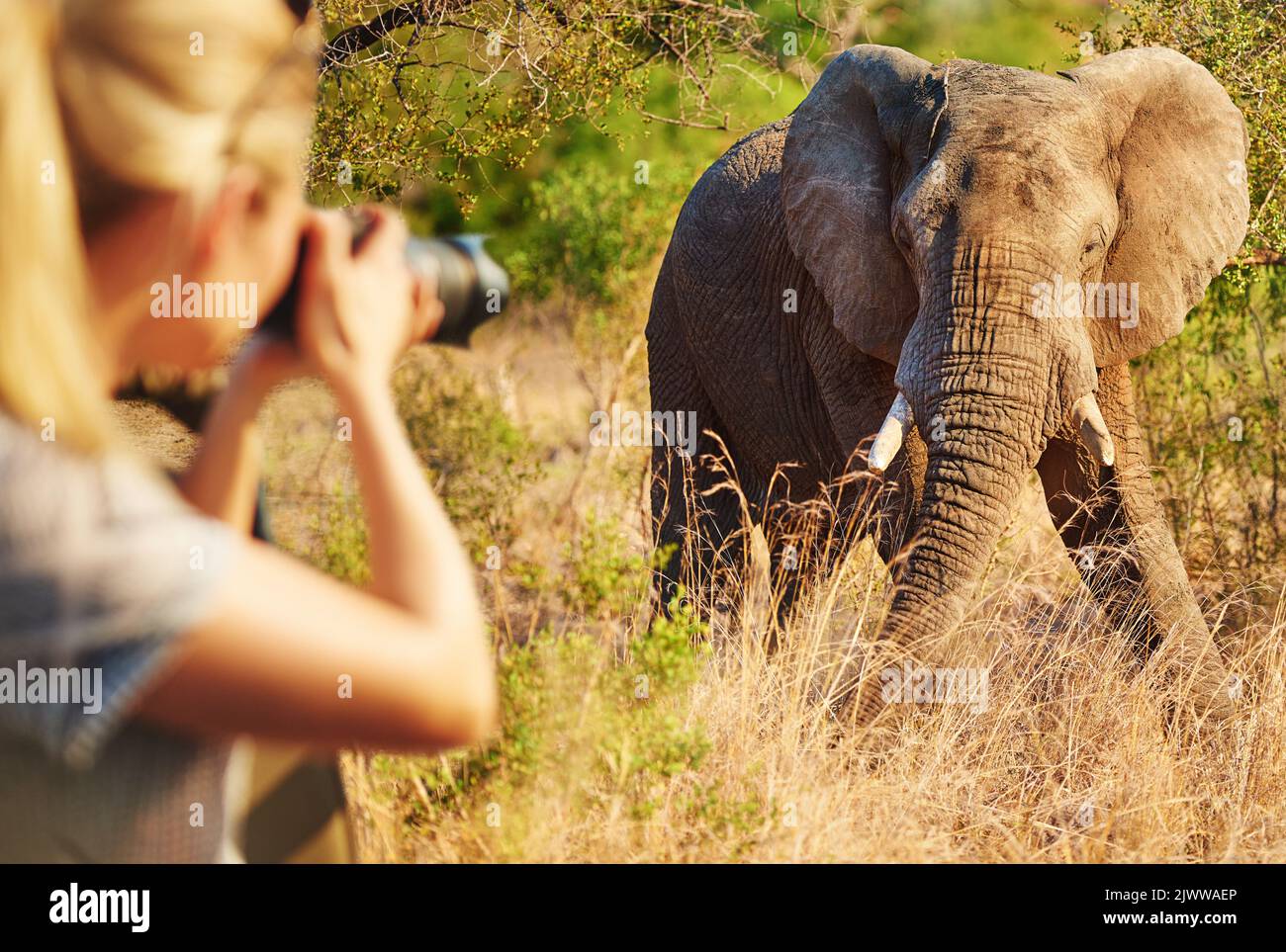 Posing proudly for a photo. a female tourist taking photographs of ...