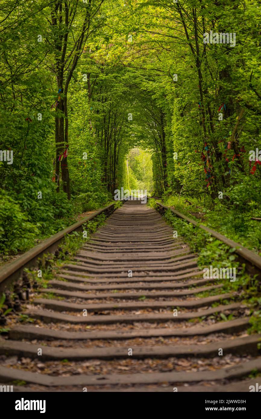 Tunnel of love Klevan , Ukraine Stock Photo - Alamy