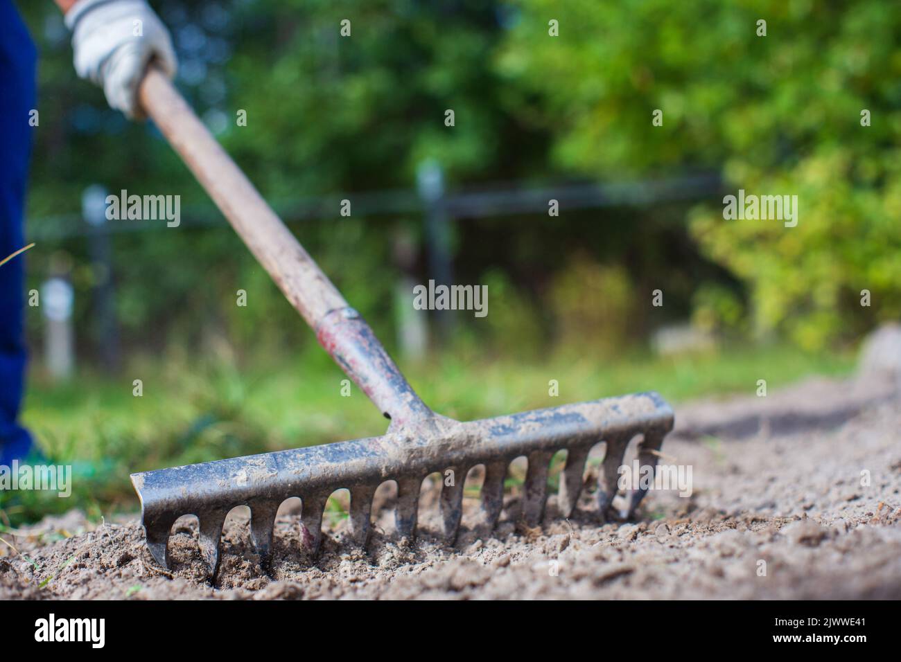 Farmer cultivating land in the garden with hand tools. Soil loosening ...