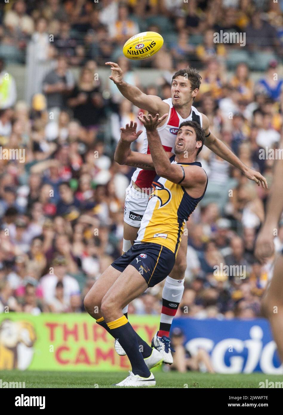 Tom Hickey of St Kilda and Dean Cox of the West Coast Eagles during the ...