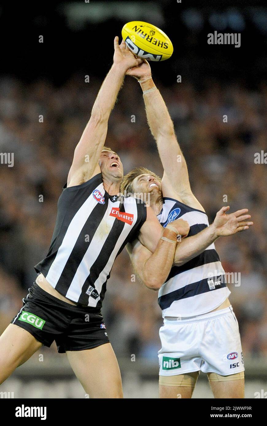 Travis Cloke of Collingwood and Tom Lonergan of Geelong contest for the ...