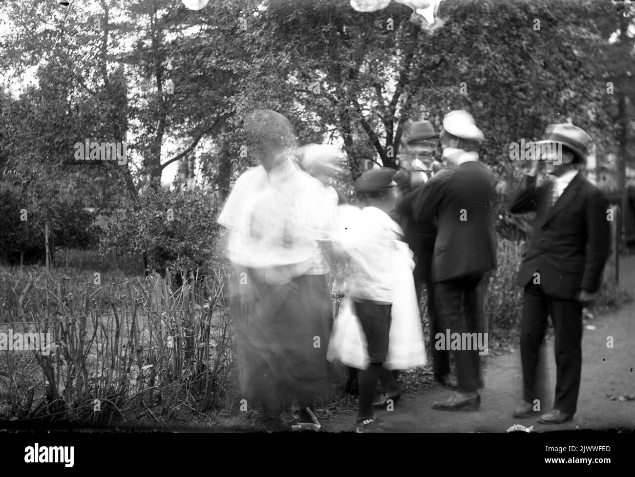 Blurred group picture in garden. Suddig gruppbild i trädgård Stock ...