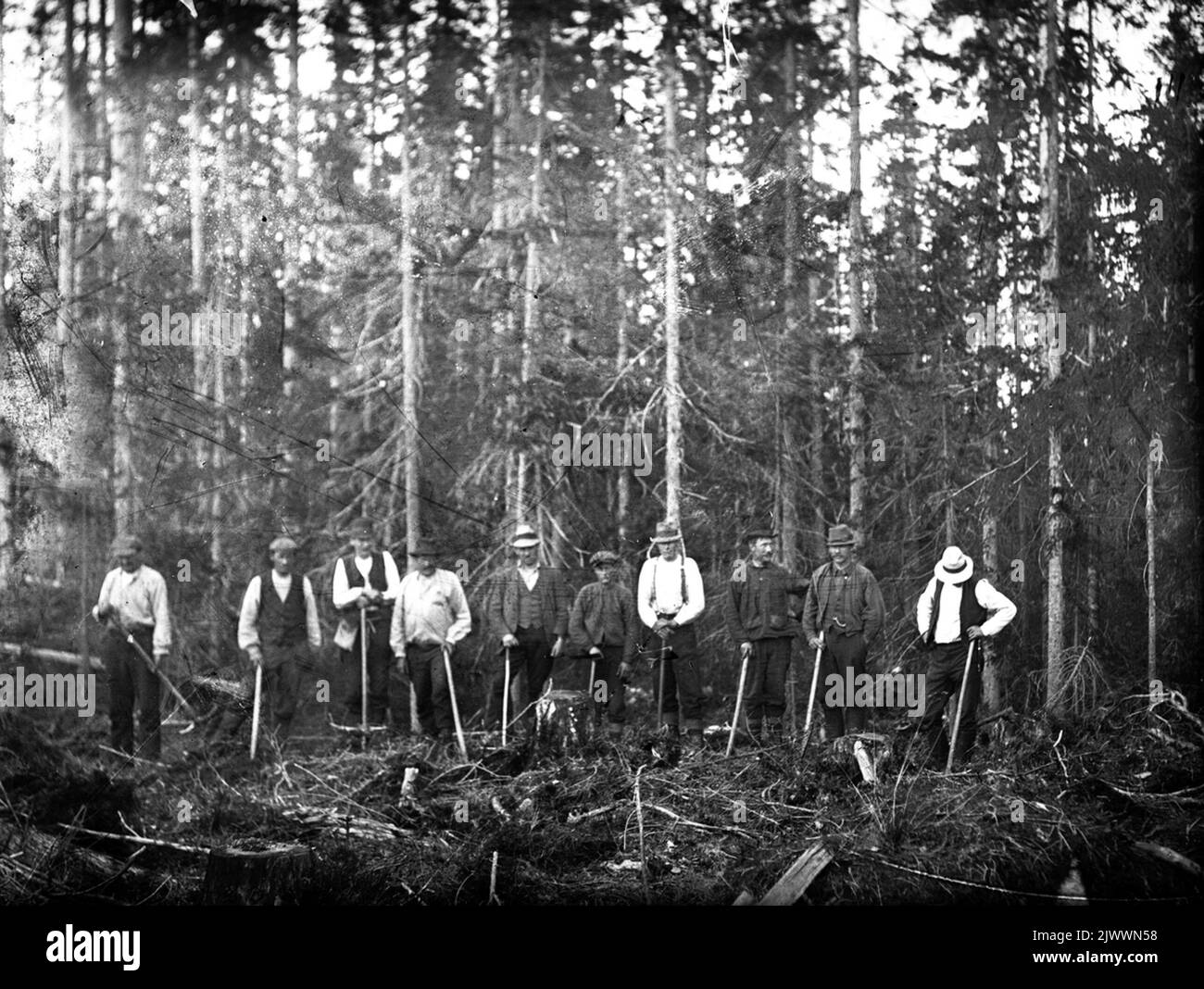 Sow seeds Black and White Stock Photos & Images - Alamy