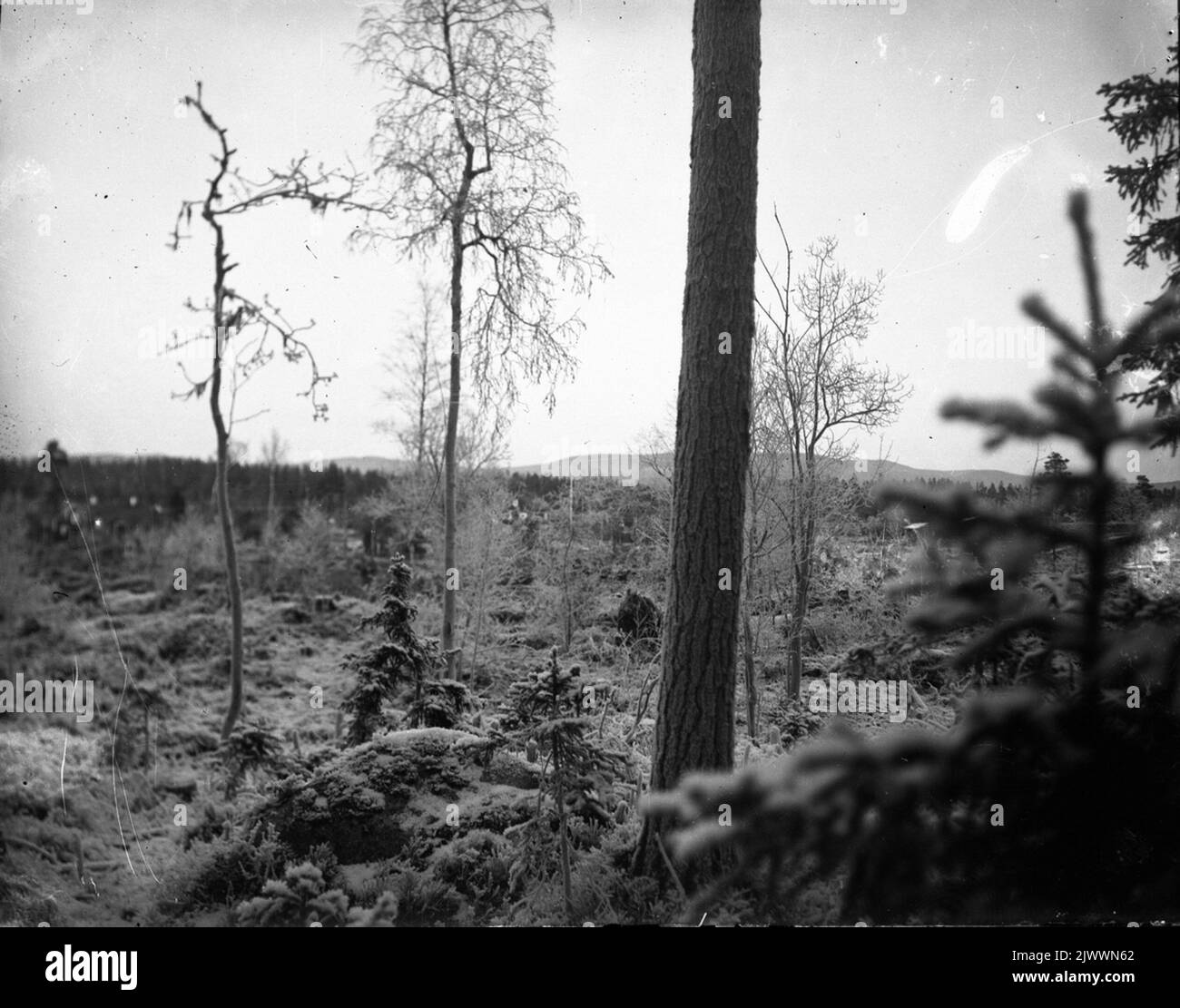 Kalhygge hi-res stock photography and images - Alamy