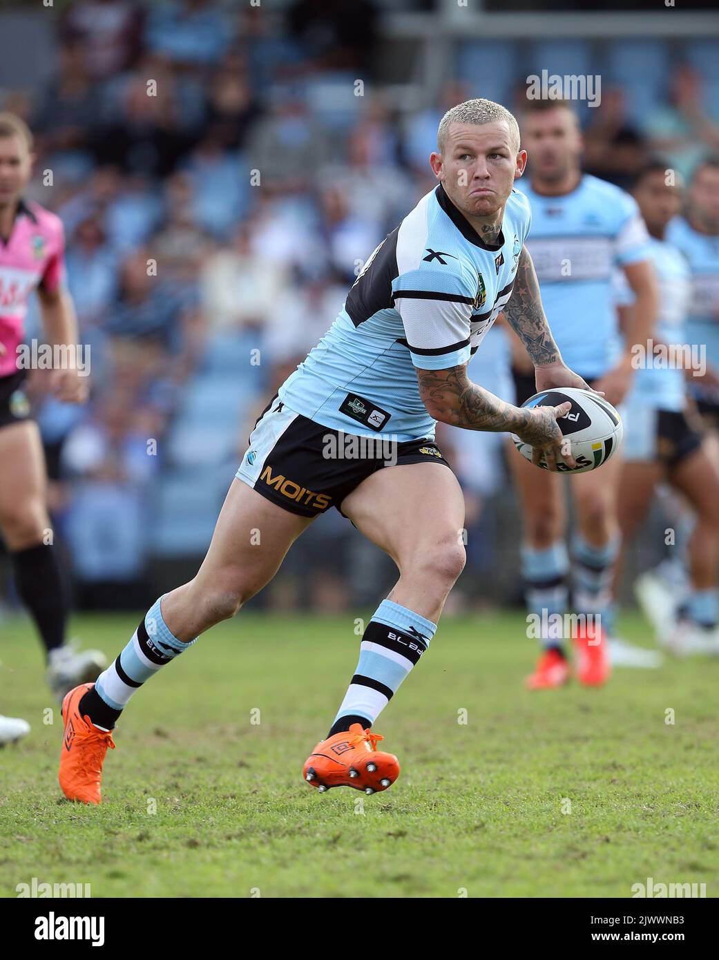 Todd Carney during the NRL Rugby League, Round 8 match between Cronulla ...