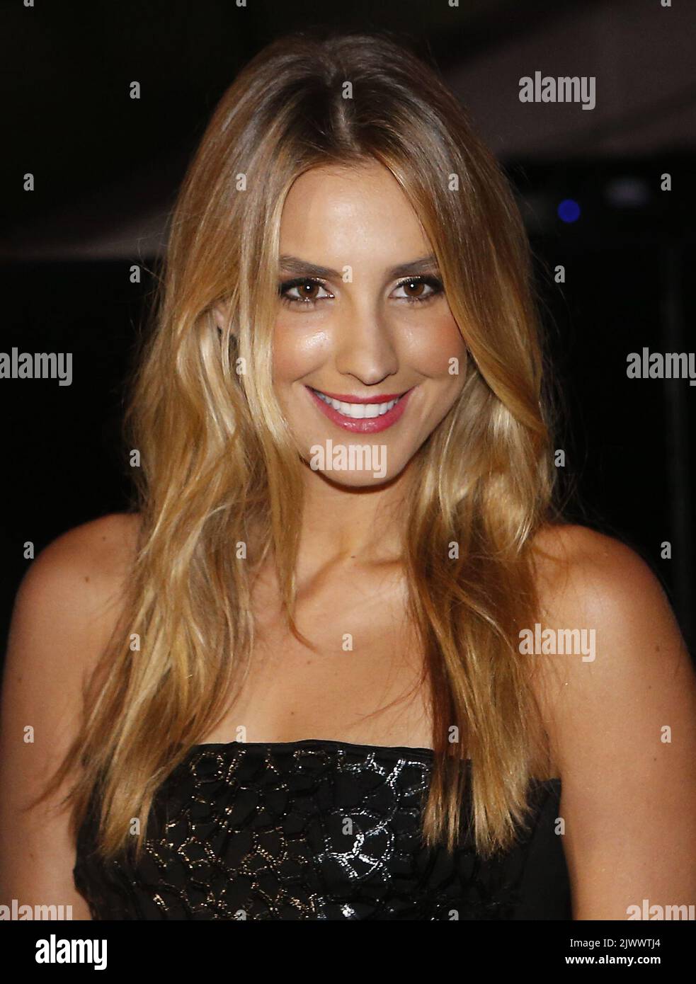 Model Laura Dundovic on the red carpet of a Swarovski gala dinner in ...