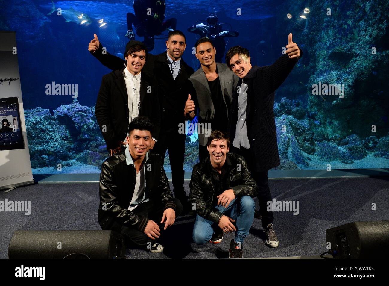 Justice Crew pose for a photograph at the SEA LIFE Sydney Aquarium at ...