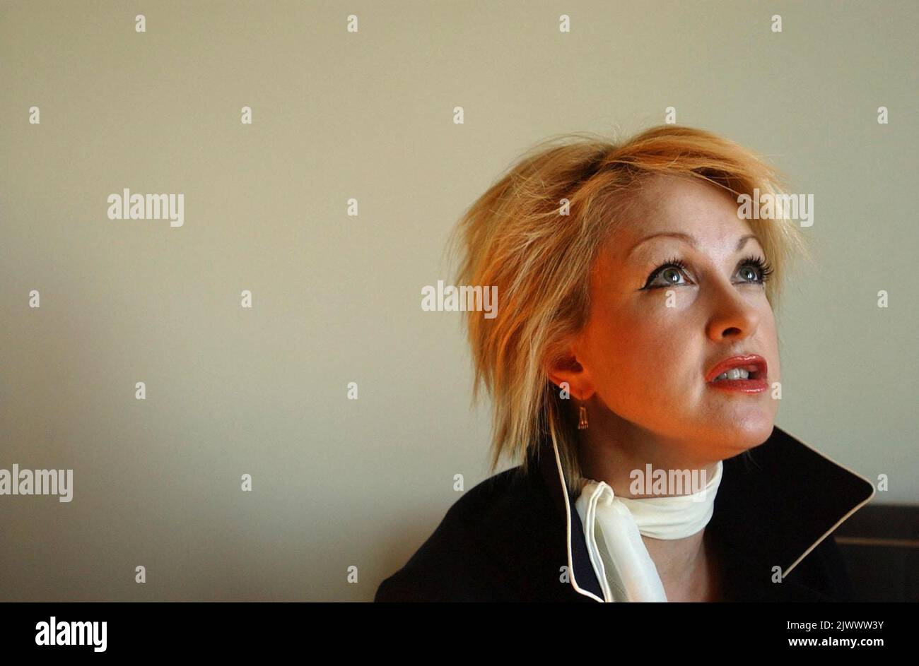 Singer Cyndi Lauper at the Sheraton on the Park Hotel in Sydney. Cyndi ...