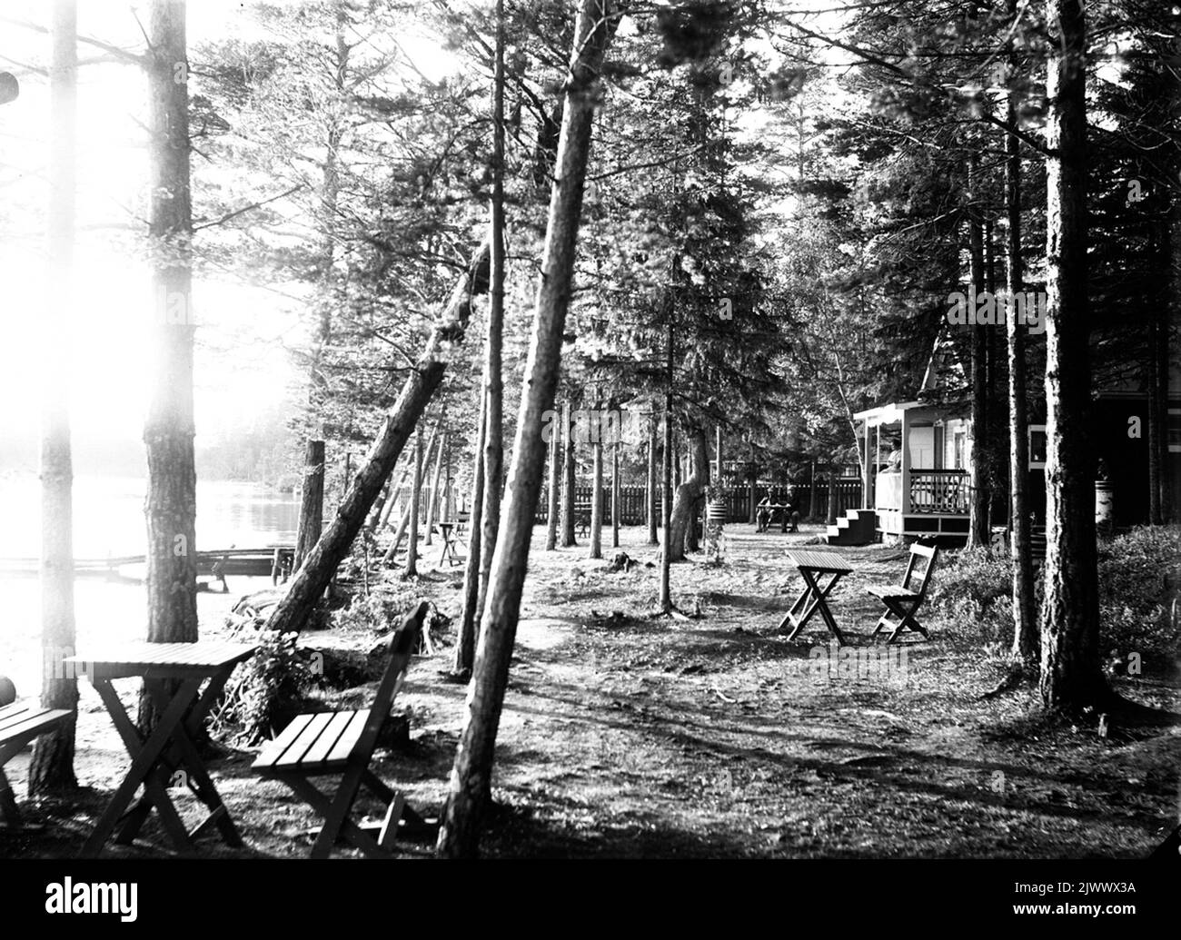 Högbackens livestock, John Lindberg's coffee service. Högbackens ...