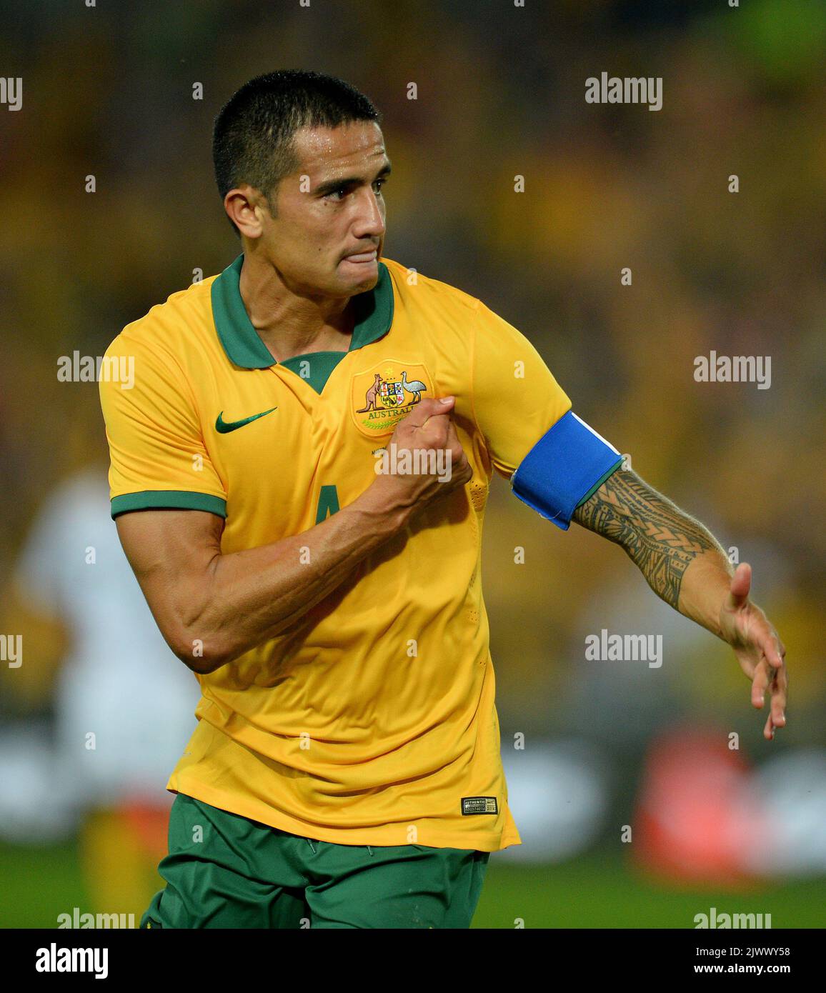 Tim Cahill of Australia celebrates after scoring a goal during the FIFA ...