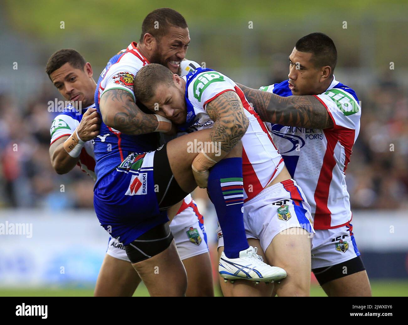 Warriors Manu Vatuvei is held up by the Knights defence during the NRL ...