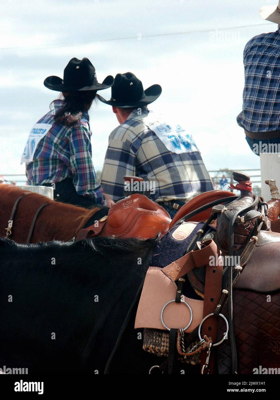 A couple check out the action in the arena today at the Mareeba Rodeo ...